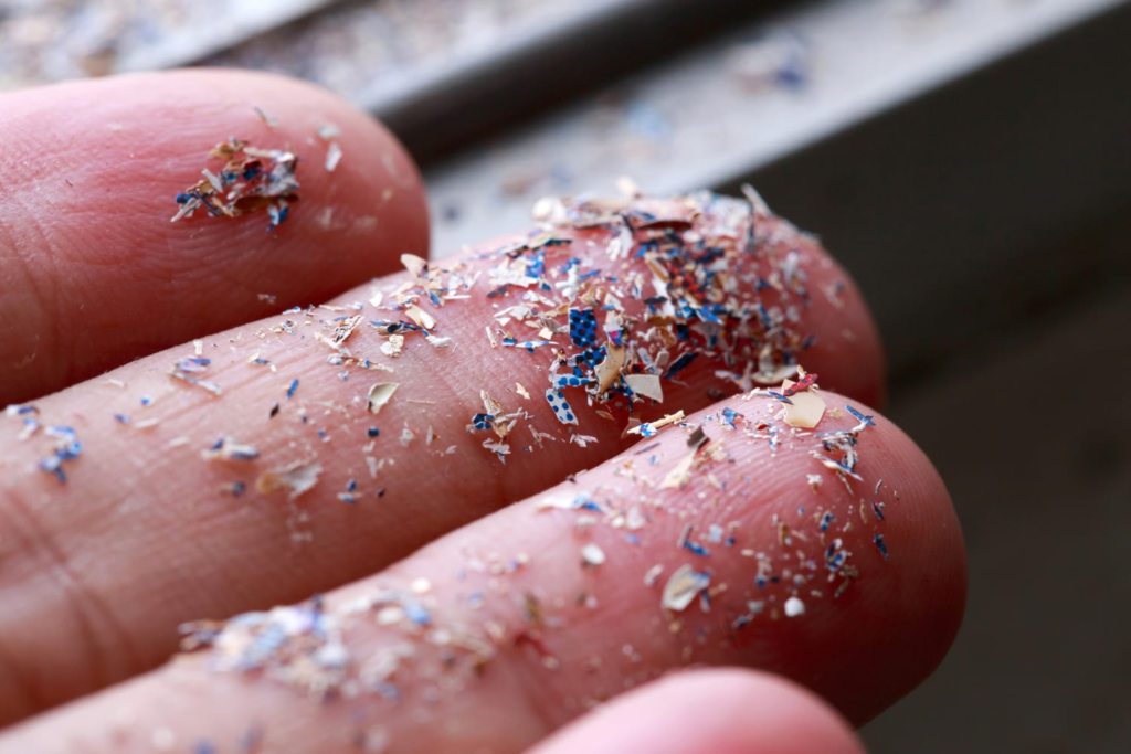 How do microplastics enter the food chain? | Science Snap